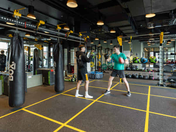 True Student | Amber