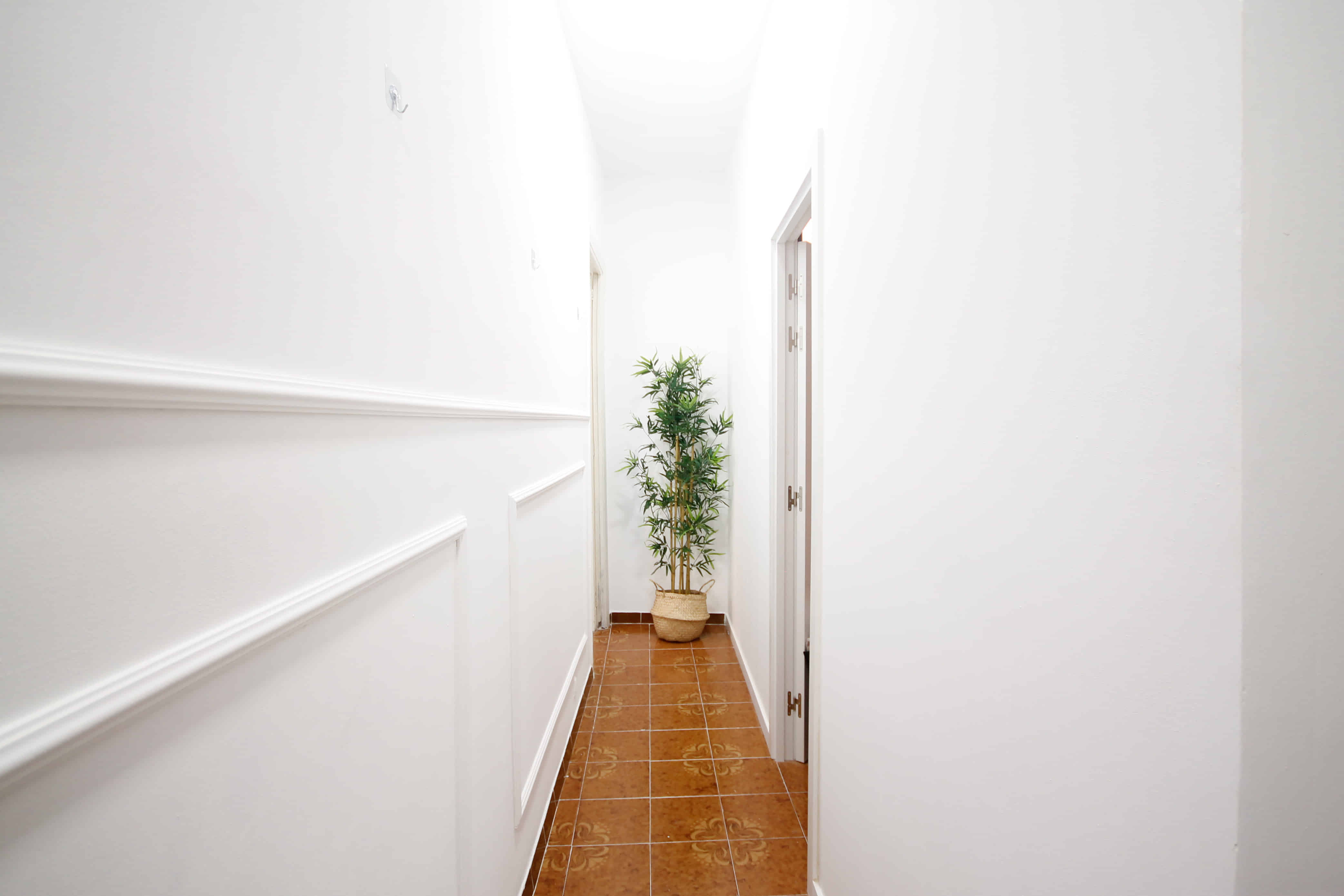 Carrer Nou De Sant Francesc 7 Pr-3 Ciutat Vella, Barcelona | My Student ...