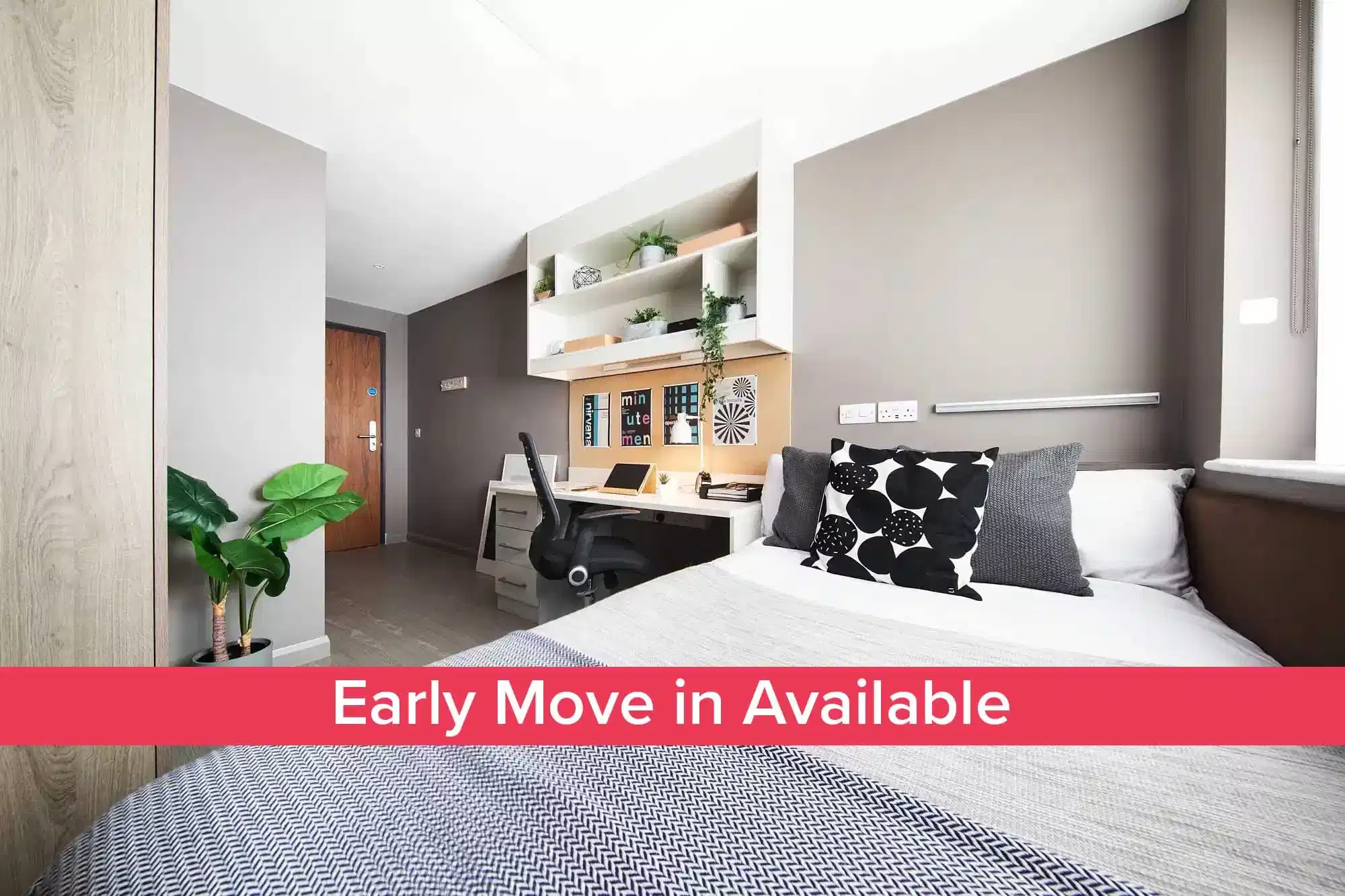 Collegiate Eclipse, Student Accommodation In Cardiff | Amber