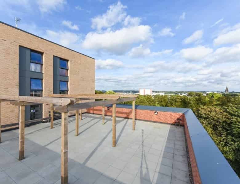 Student Roost | Amber