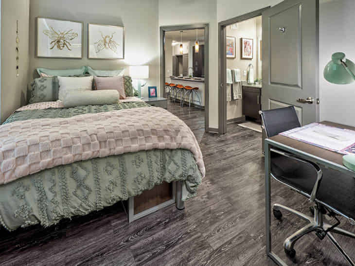 The Arlie Student Housing Arlington | Amber