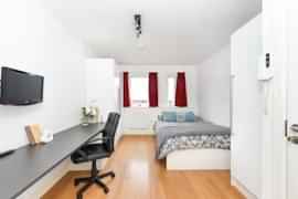 Student Roost | Amber