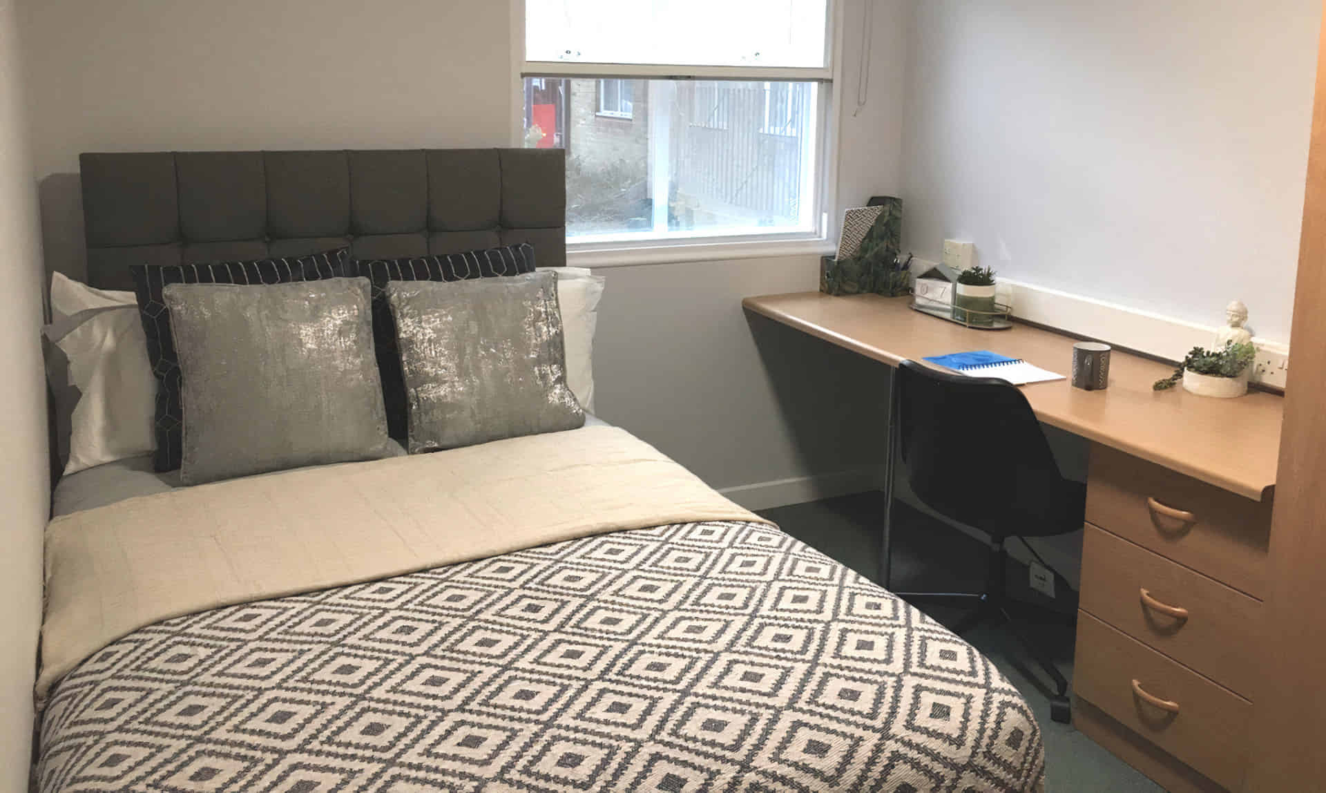 Essential Student Living | Amber