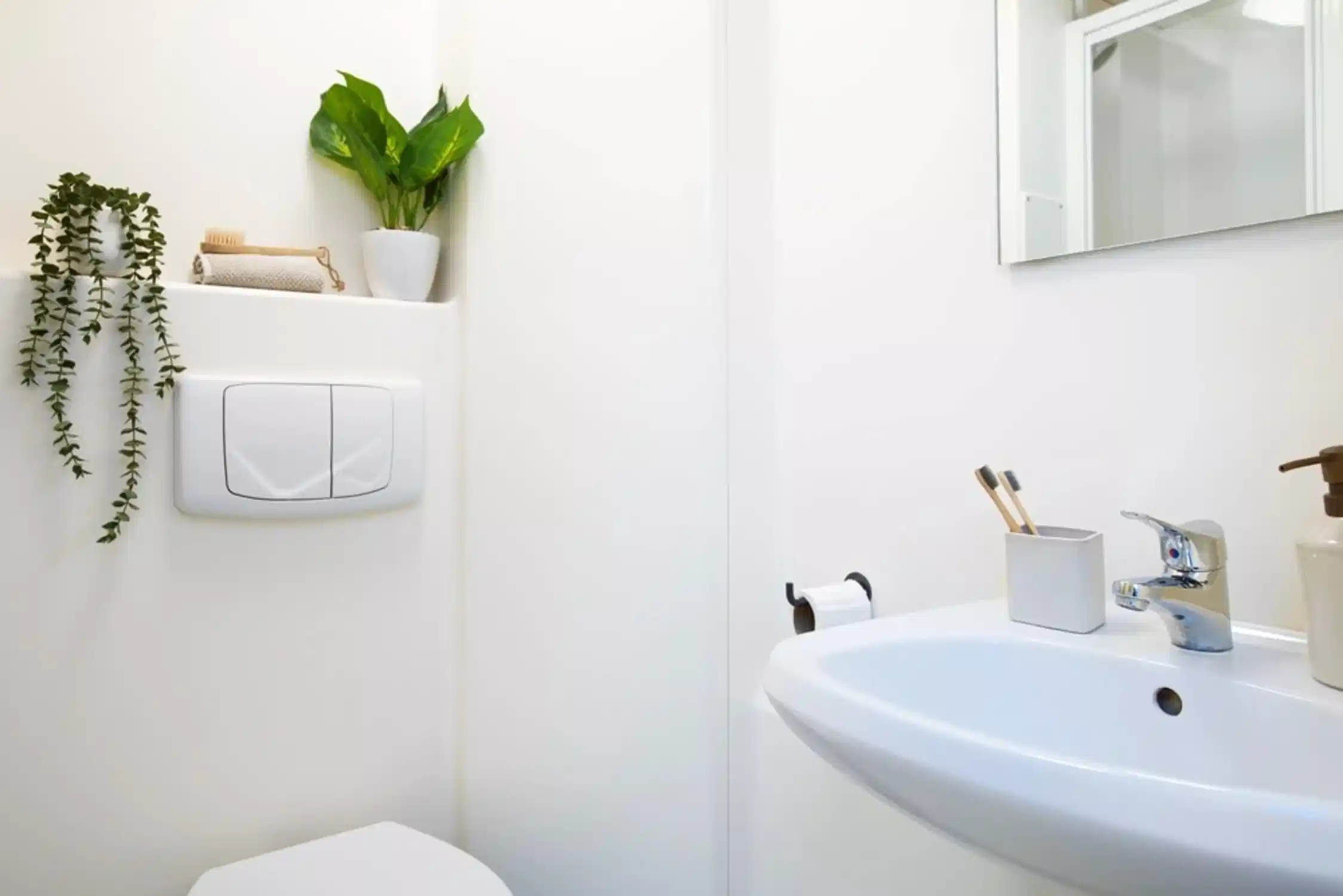 Clodien House Cardiff Student Accommodation | Amber