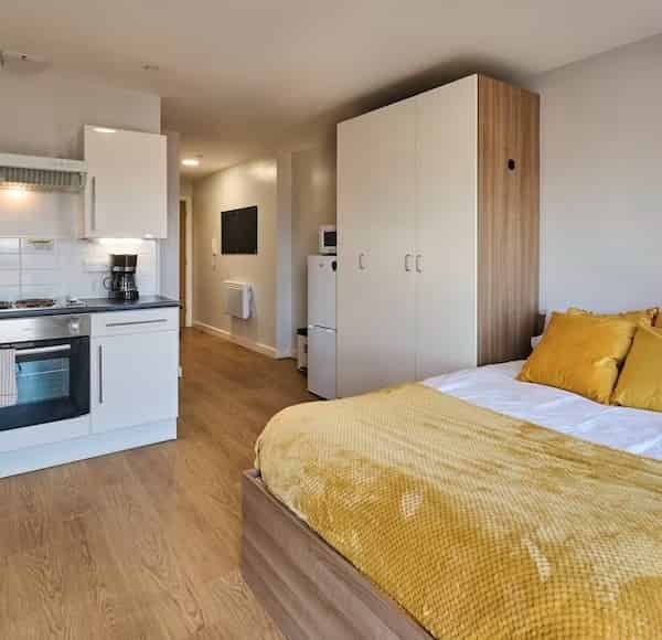 Student Roost | Amber