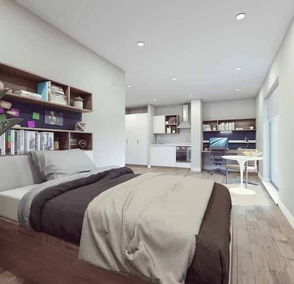 Student Roost | Amber