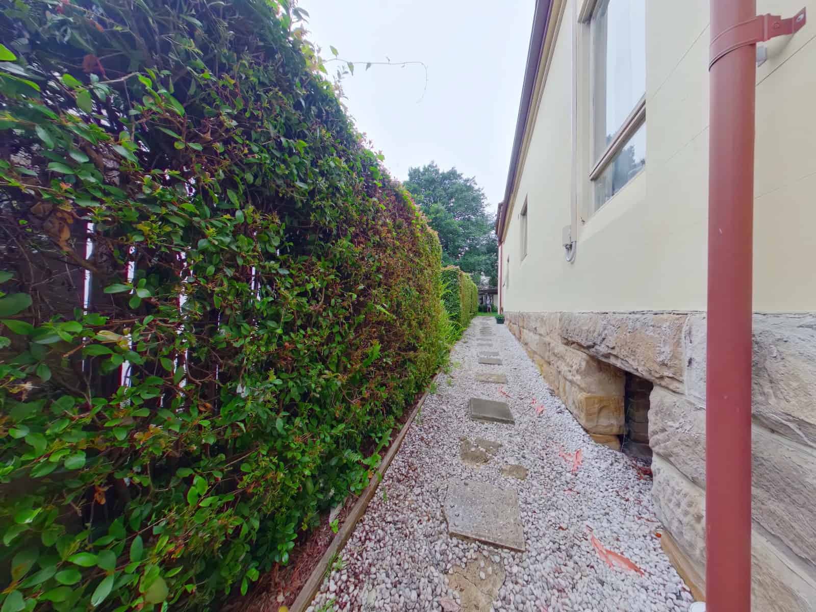 Room in a 16 Bedroom Apartment, 11 Liberty, Enmore, Sydney | PFEC ...