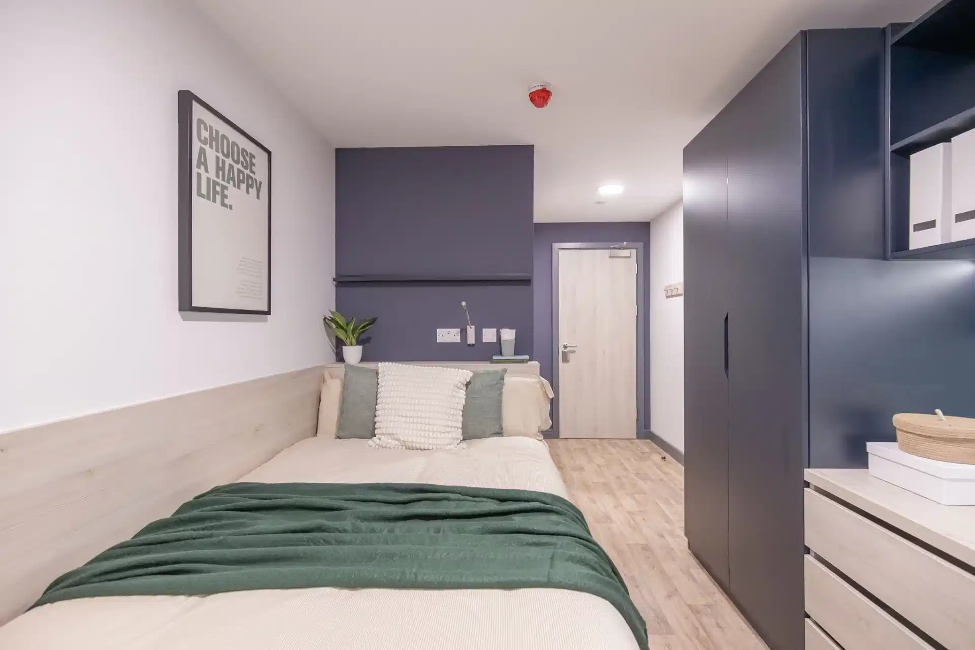 Tribeka, Leeds Student Accommodation | Amber